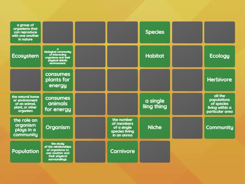 Ecosystems Vocabulary - Matching pairs