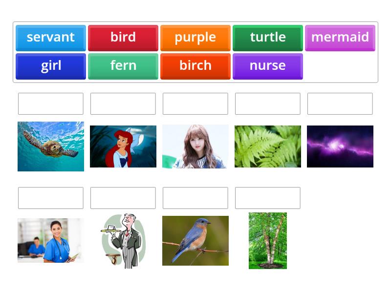 Step 52 bossy R - Match up