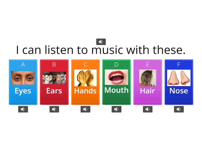 Five Senses - Quiz