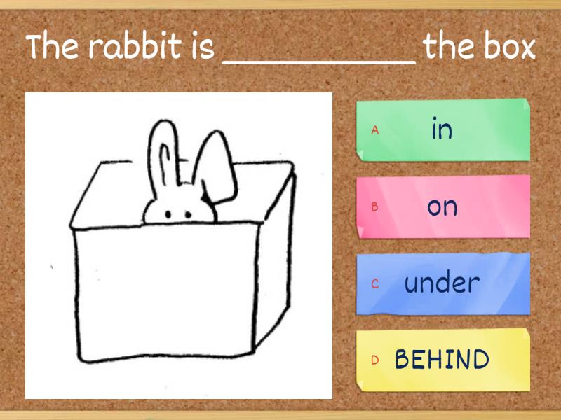 PREPOSITIONS OF PLACE - Where's the cat/rabbit? - Quiz