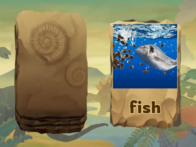 Bears - Speaking cards