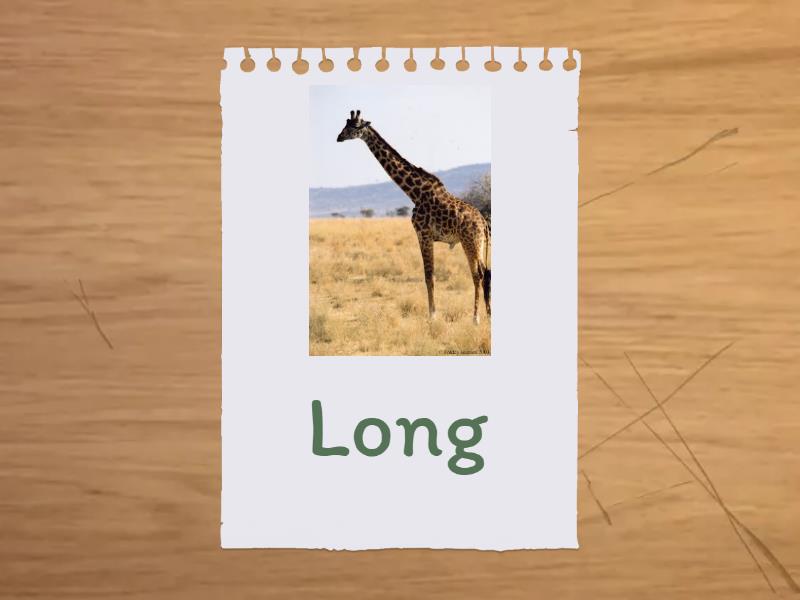 Adjectives & Comparative Adj. - Flash cards