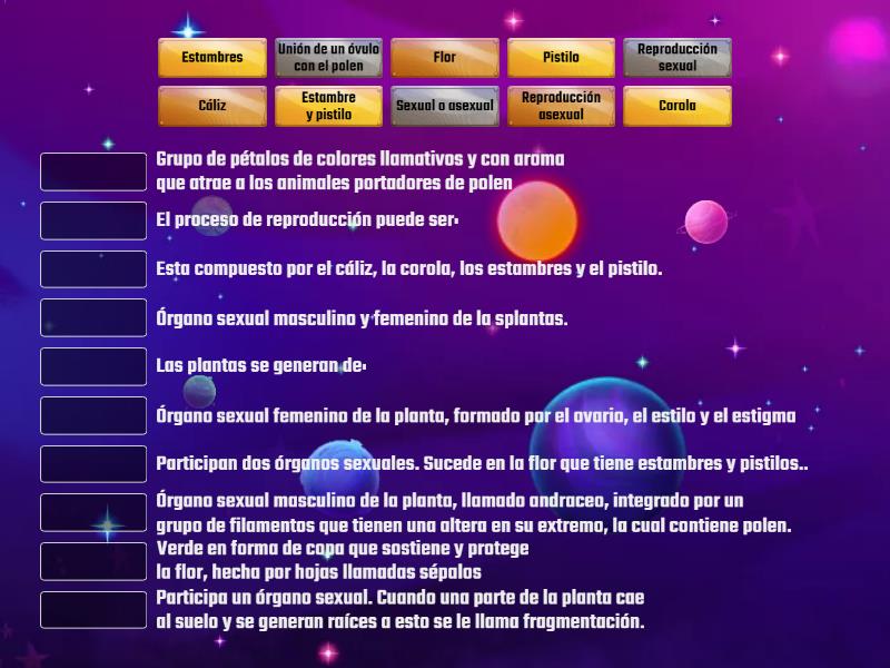 Reproducción de las plantas - Match up