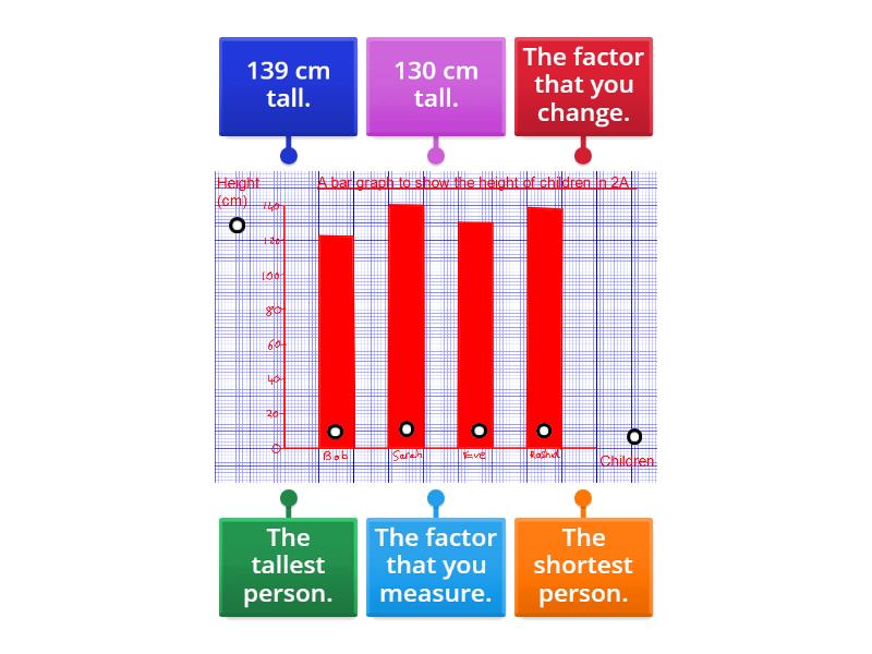 Interpret a Bar Graph - Labelled diagram