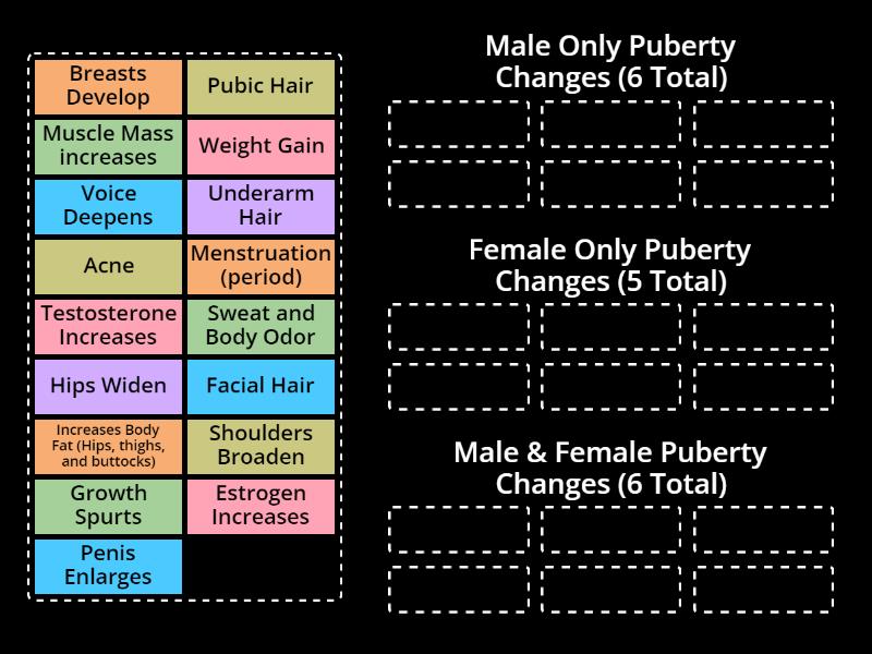 Puberty Changes - Group sort