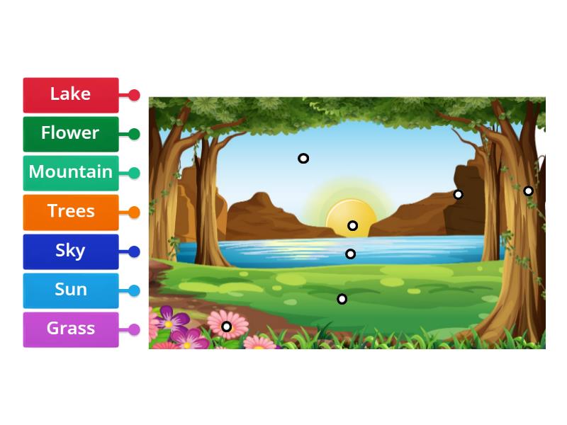 Things in nature - Labelled diagram