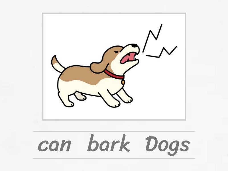 animal action verbs - Unjumble