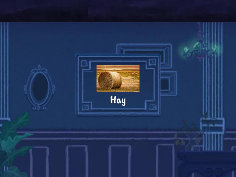 Me1a Related to Fire Memory - Watch and memorize