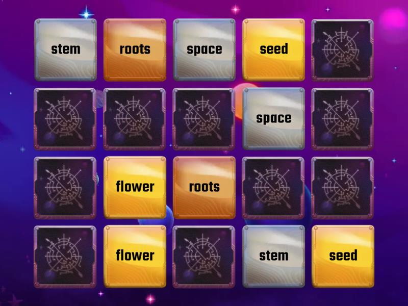 Plant Words - Matching pairs