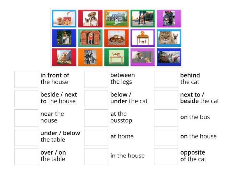 prepositions: Where is the dog? - Match up