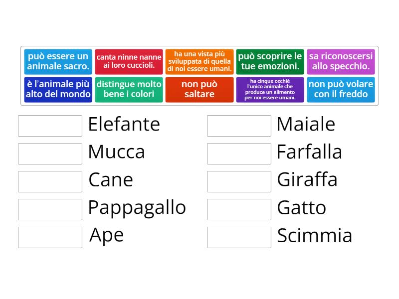 Gli animali - Match up
