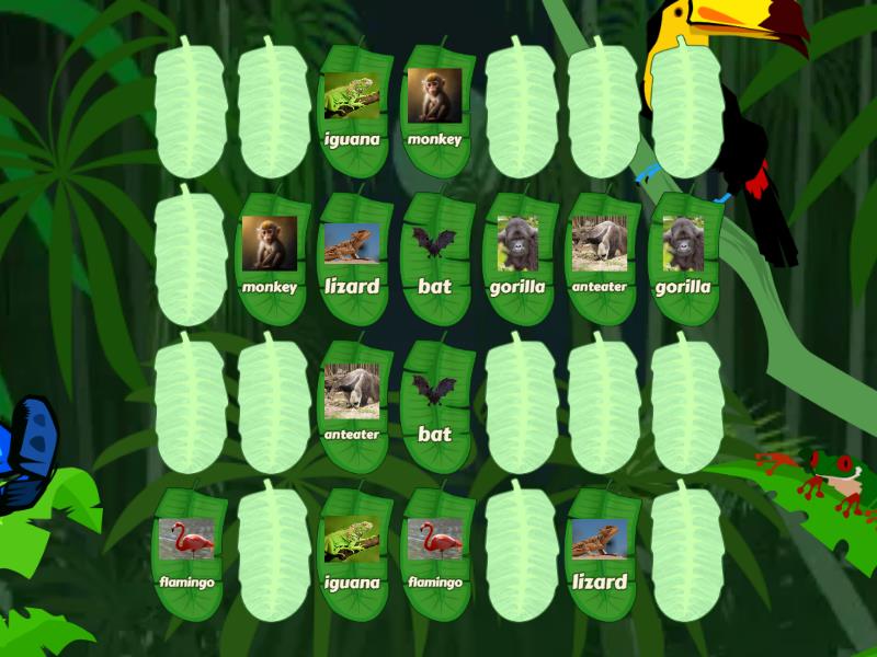 Jungle animals - Matching pairs