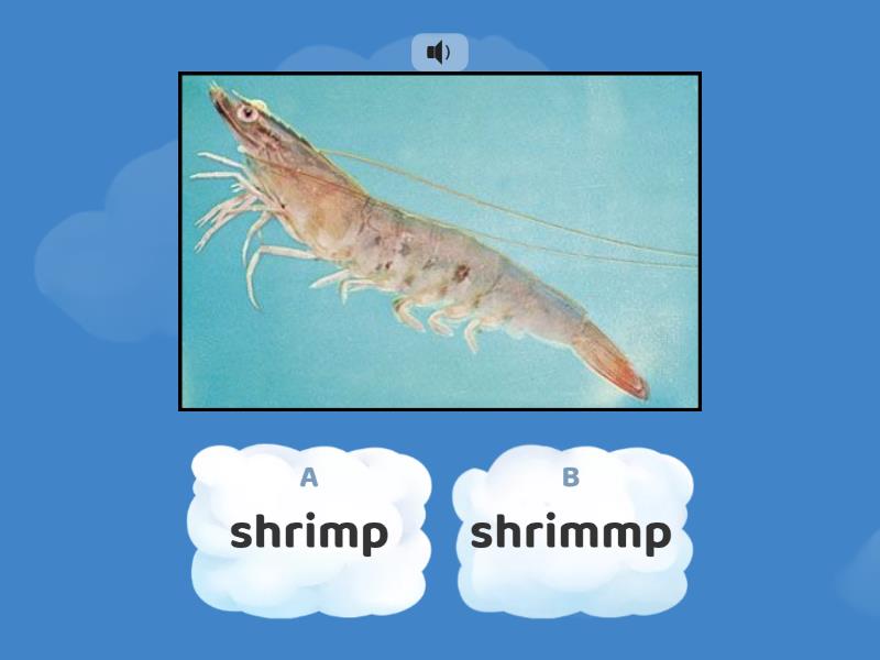 Phonics: Final blend mp - Quiz