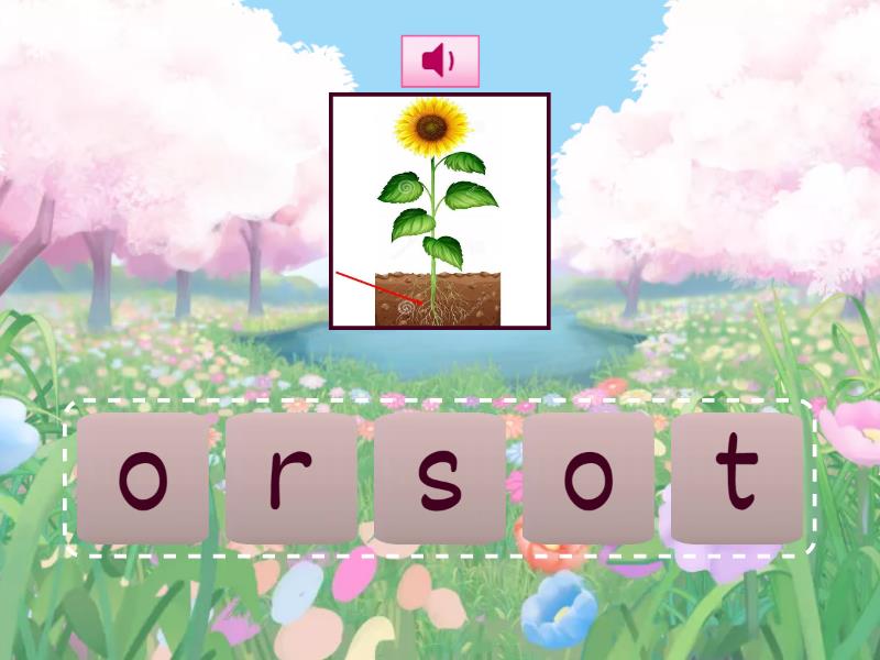 Parts of the Plant (3rd Grade - Science) - Anagrama