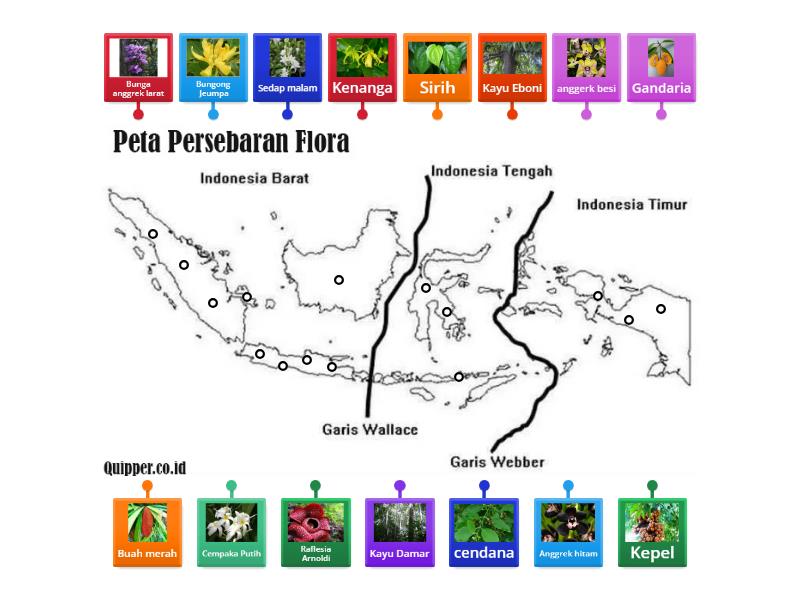 Persebaran flora di Indonesia - Диаграмма с метками