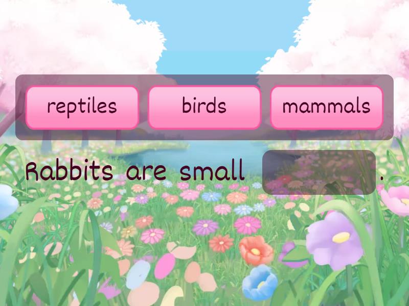 Rabbit Info - Complete the sentence