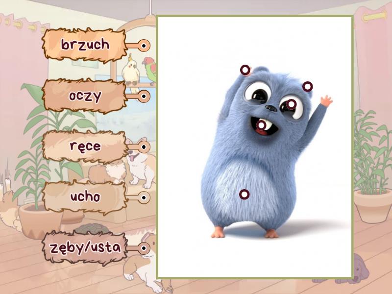 ciało lemingi - Diagrama con etiquetas