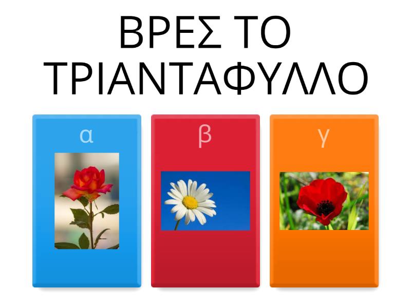 ΕΕΕΕΚ ΒΡΕΣ ΤΑ ΛΟΥΛΟΥΔΙΑ - Quiz