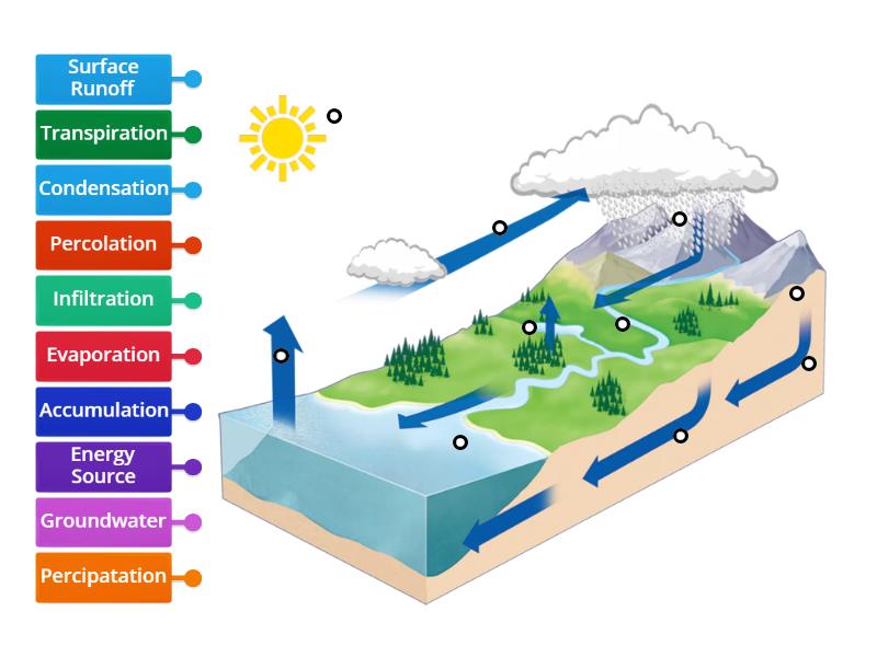 Water Cycle Diagram (5th Grade Science) - مخطط المربعات