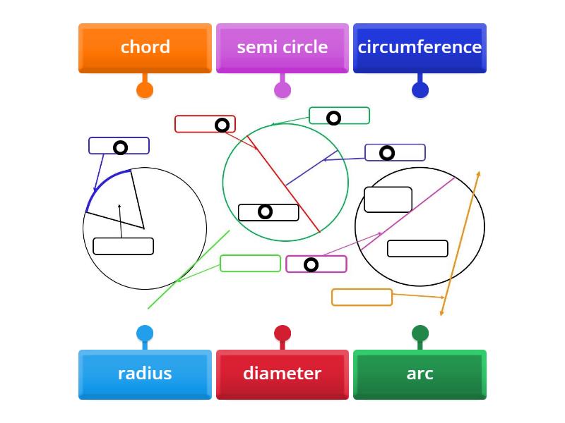 Parts of a Circle 1 - Labelled diagram