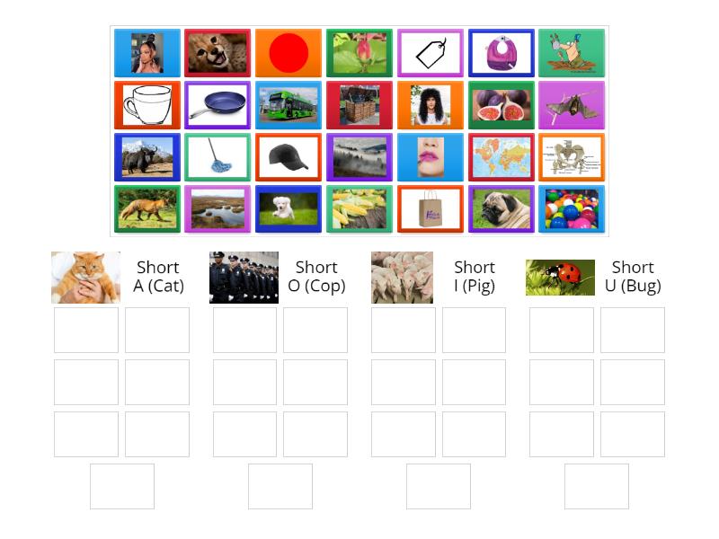 Medial Vowel Sounds (A, I, O, U) Sort - Group sort