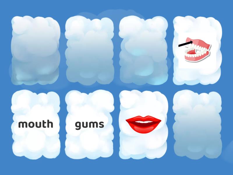 Health: our teeth - Matching pairs
