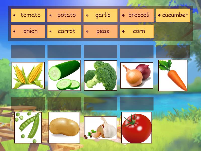 Vegetables - Match up