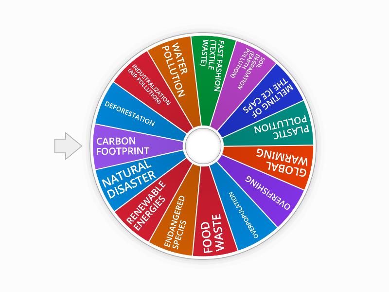 ENVIRONMENTAL ISSUES - Spin the wheel