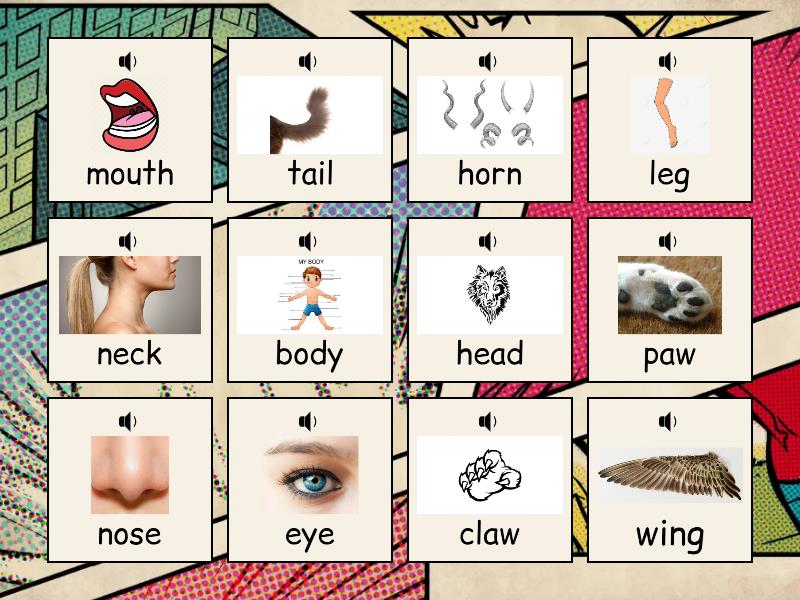 Animal body parts - flashcards - Flip tiles