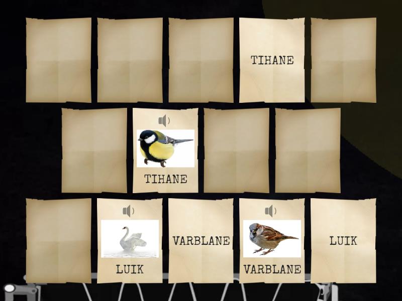 Linnud: pilt ja sõna - Matching pairs