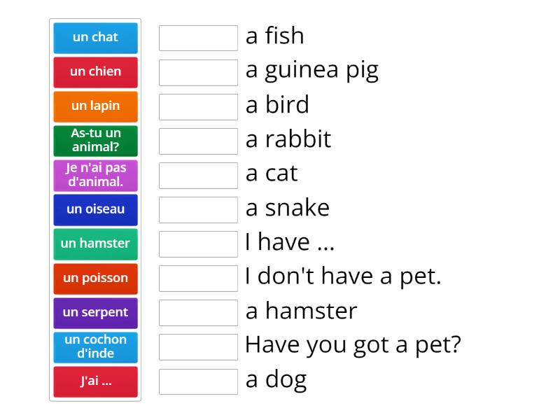 French pets - Match up