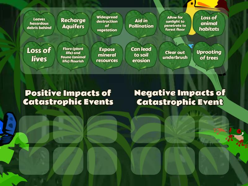 TMS Positive and Negative Impacts of Catastrophic Events - Group sort