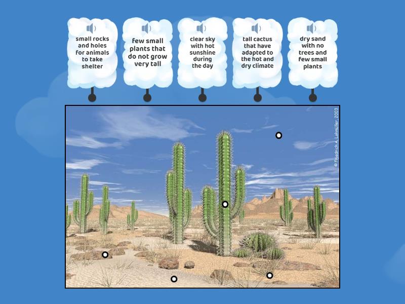 The Desert Habitat - Labelled diagram