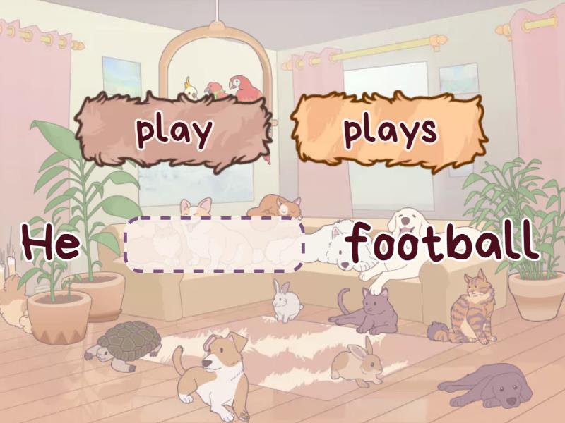 Cartoon Meg and Mog Present simple all types - Complete the sentence