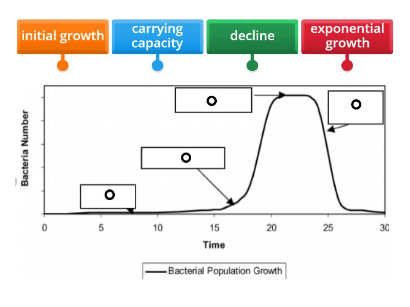 Growth Curve - Labelled diagram