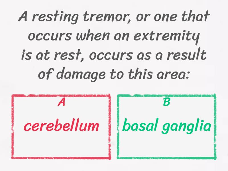 Neuroscience Exam 1 Practice 1 - Quiz