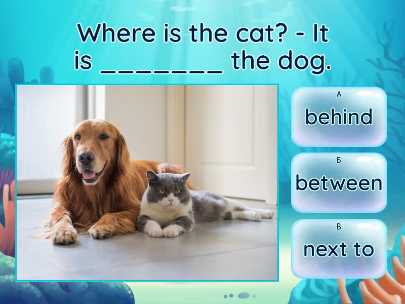 Prepositions - in front of / behind / between / next to - Quiz