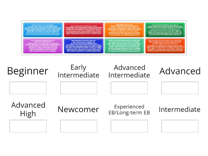 Student Vignette Sort - Group sort