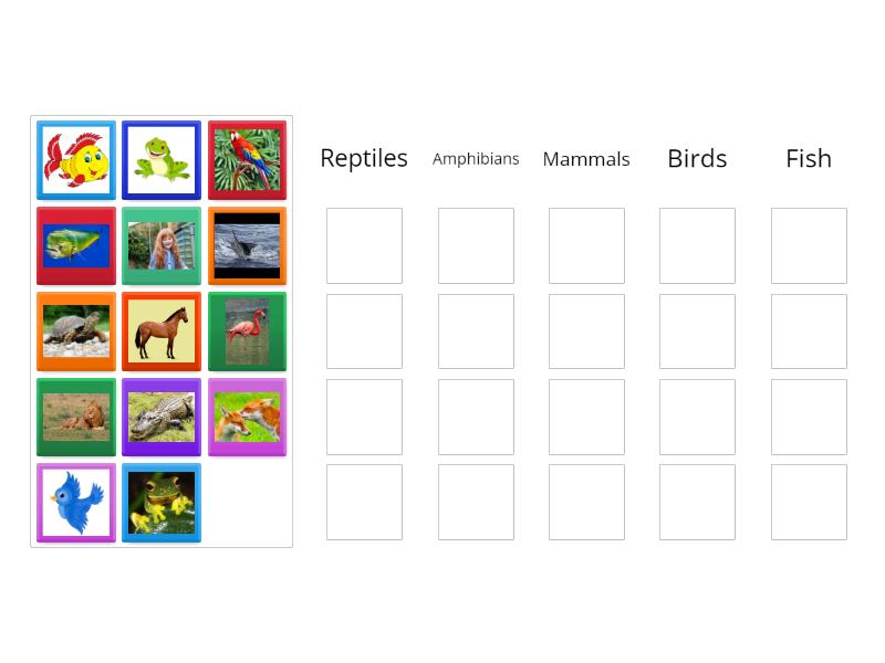 animal classification - Group sort
