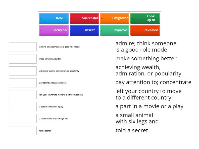 Vocabulary Role Model - Match up