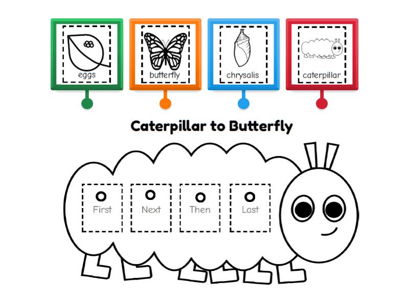 Very Impatient Caterpillar - Labelled diagram