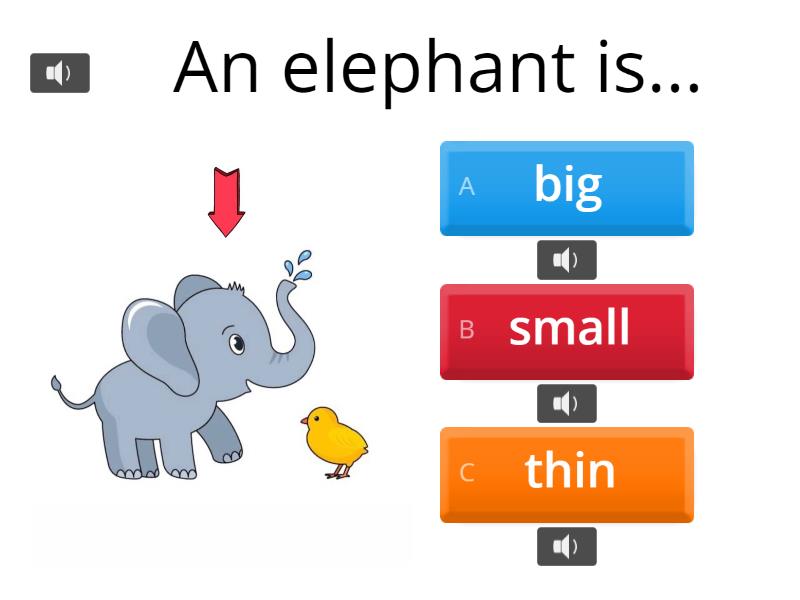 BIG, SMALL, TALL, SHORT - Quiz