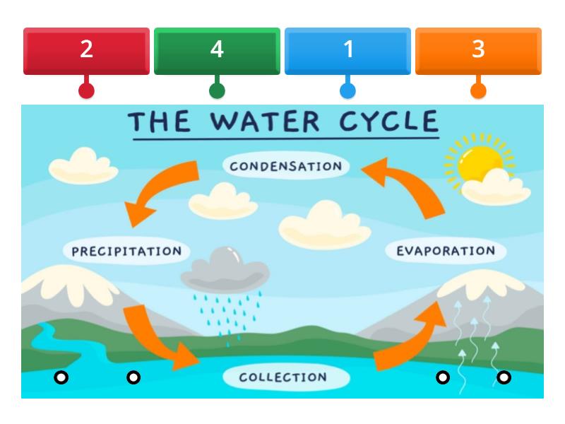 The Water Cycle - Labelled diagram