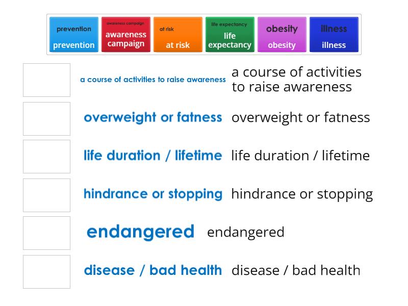 Match the following words with their correct synonyms - Match up