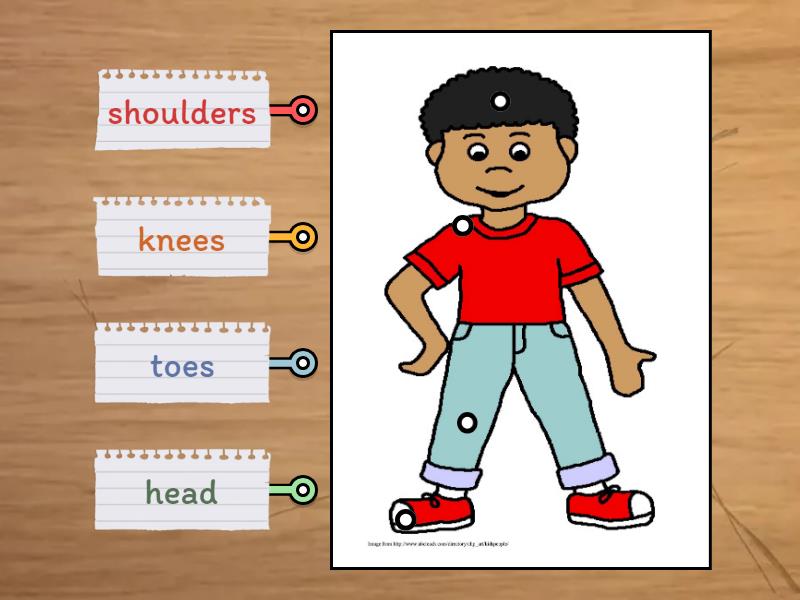 Connect Body Parts KG 1 2 - Labelled diagram