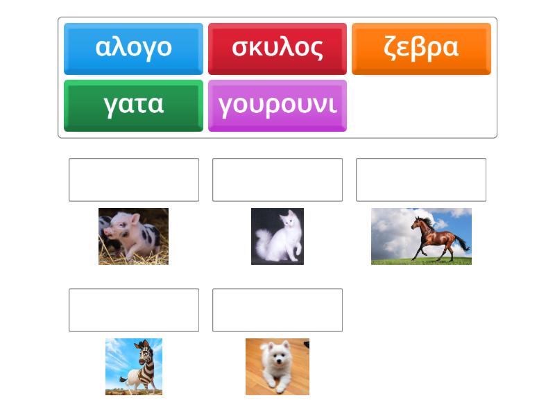 Μαθενωντασ τα ζωακι - Αντιστοίχιση