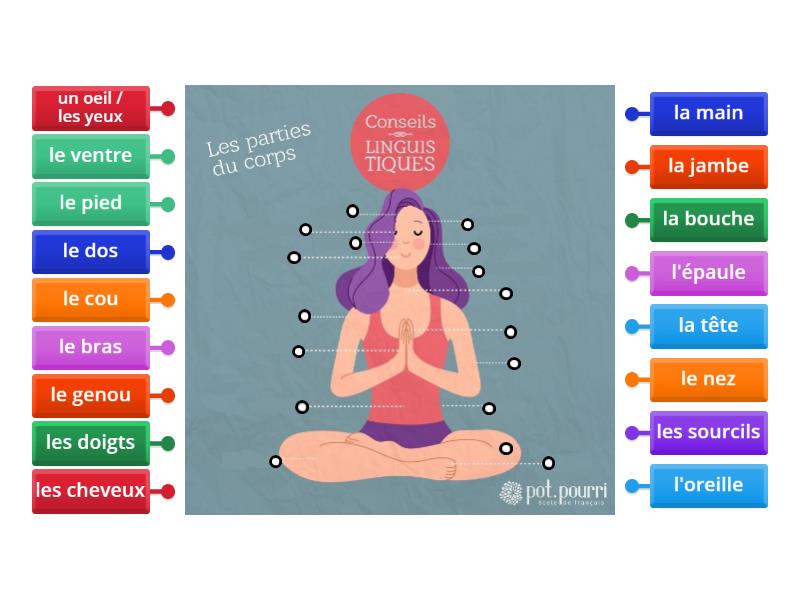 FPE: Les parties du corps - Labelled diagram