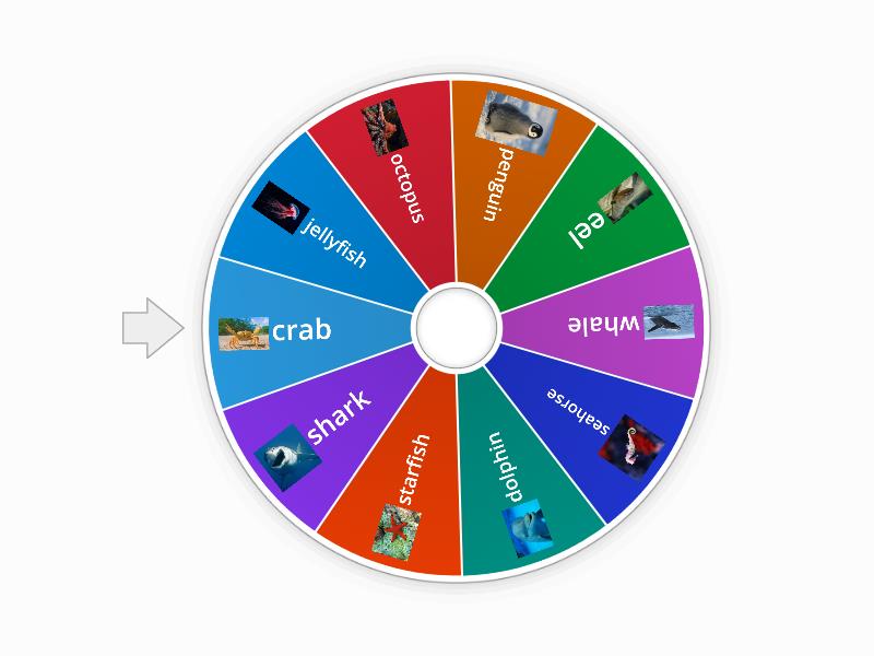 CR3 Sea animal wheel - Spin the wheel