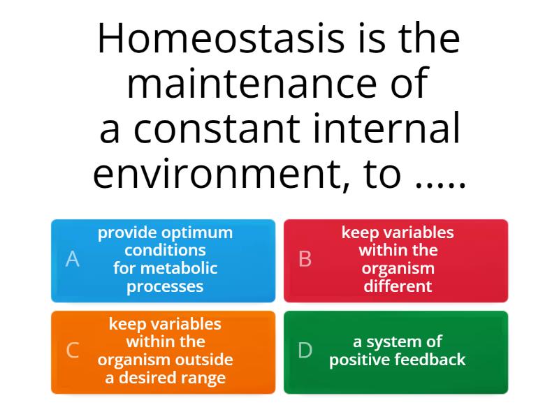 Homeostasis - Quiz