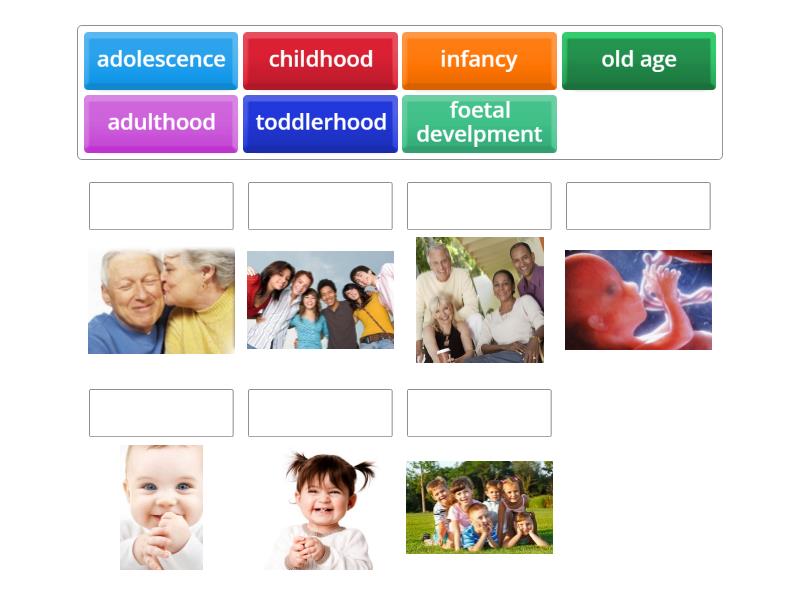 Stages of Life (match) - Match up